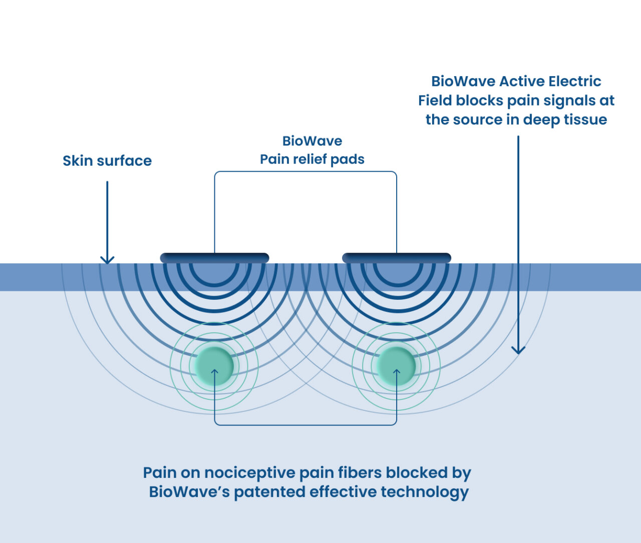 How does it work? | BioWaveGO
