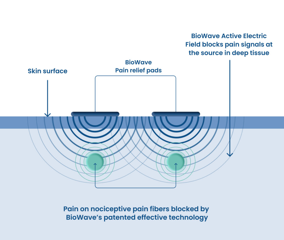 How does it work? | BioWaveGO